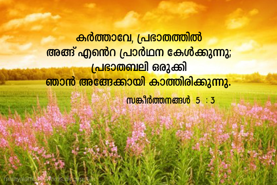 Malayalam Bible Words Malayalam Bible Verse Of The Day Bible