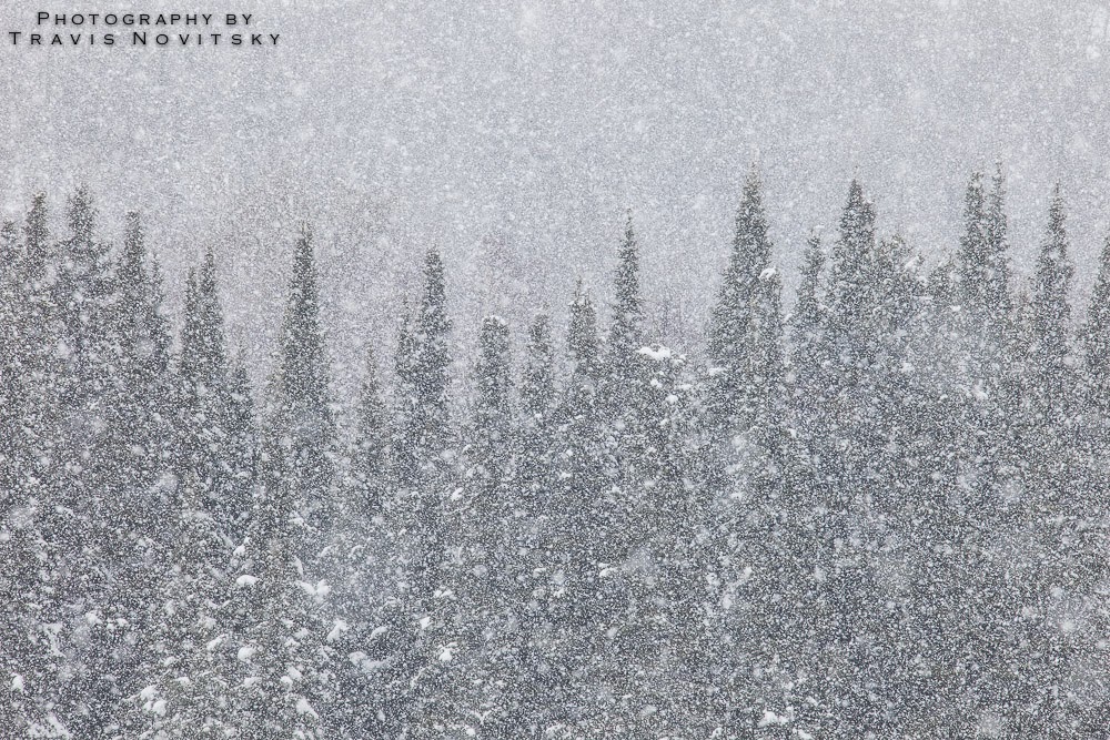 Photography by Travis Novitsky - Photo Journal: Beautiful Blizzard