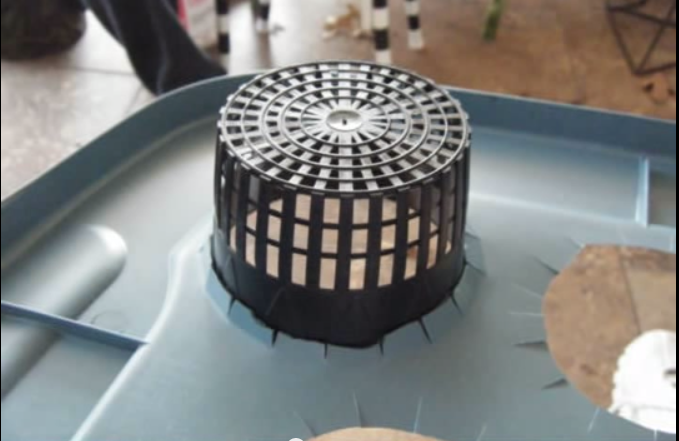 Hydroponic Passion: DIY Deep Water Culture DWC System