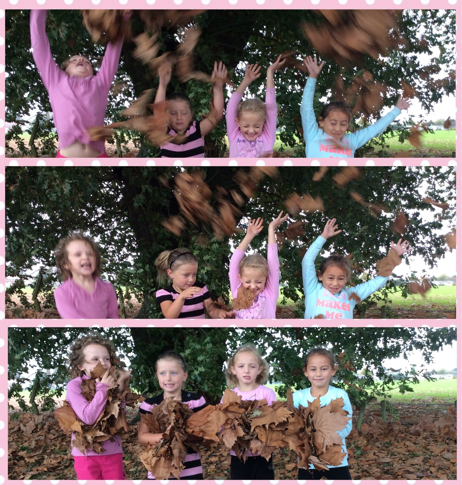 Room 3 Firth Primary School: Collage