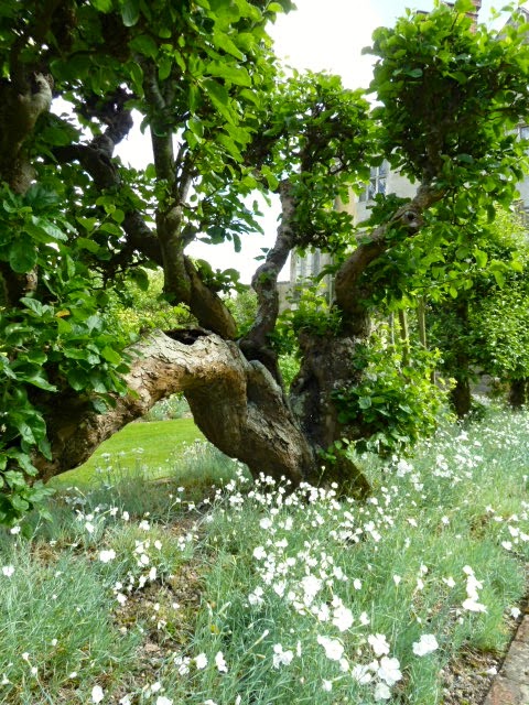 Upcycling, Vintage and Other Life....