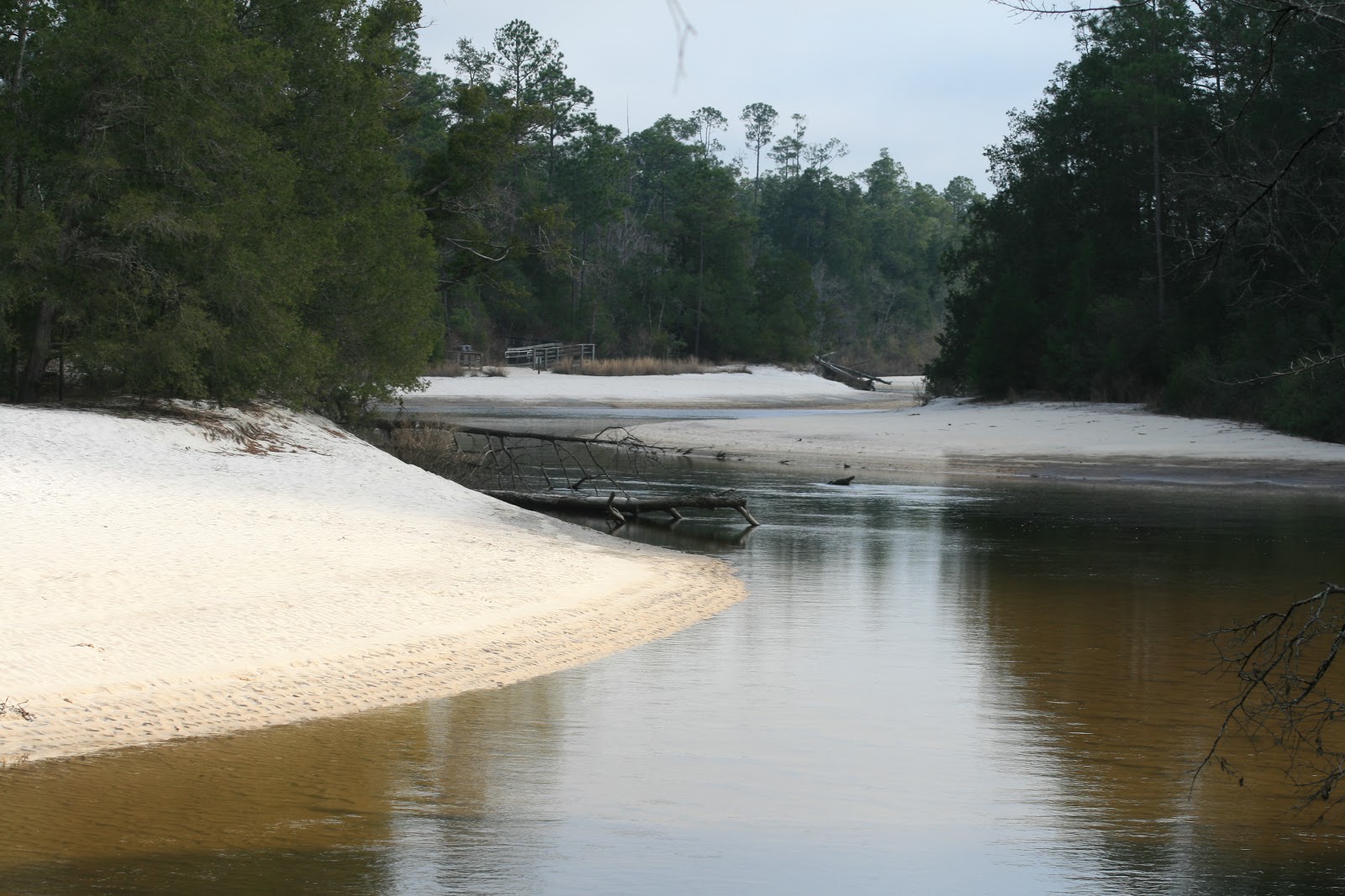 Ruffing It at Blackwater River State Park | Oz the Terrier - Lifestyle ...