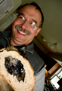You Trash It, I Eat It: Elsa the Demon Cat-- WITH BREAD ON HER FACE.