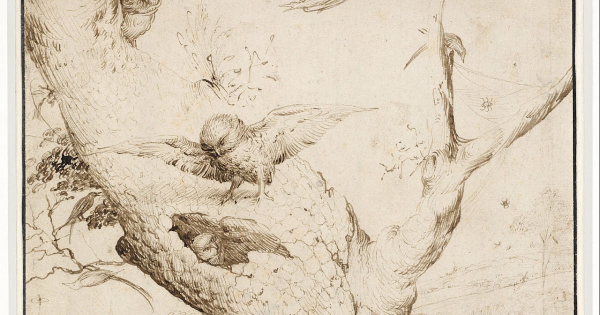 Spencer Alley: Drawings from the first half of the 16th century