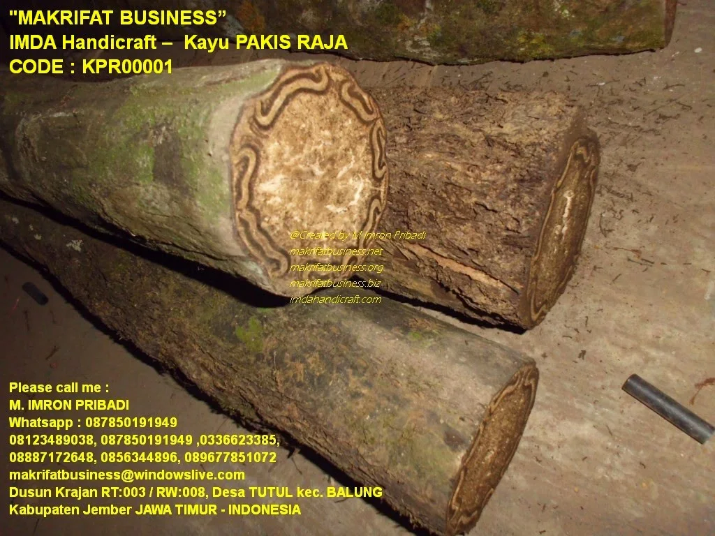 Kayu PAKIS RAJA by: IMDA Handicraft Kerajinan Khas Desa TUTUL Jember ...