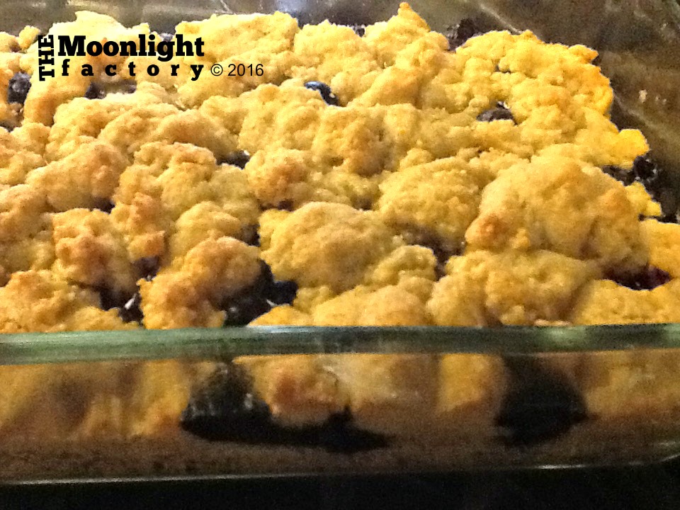 The Moonlight Factory