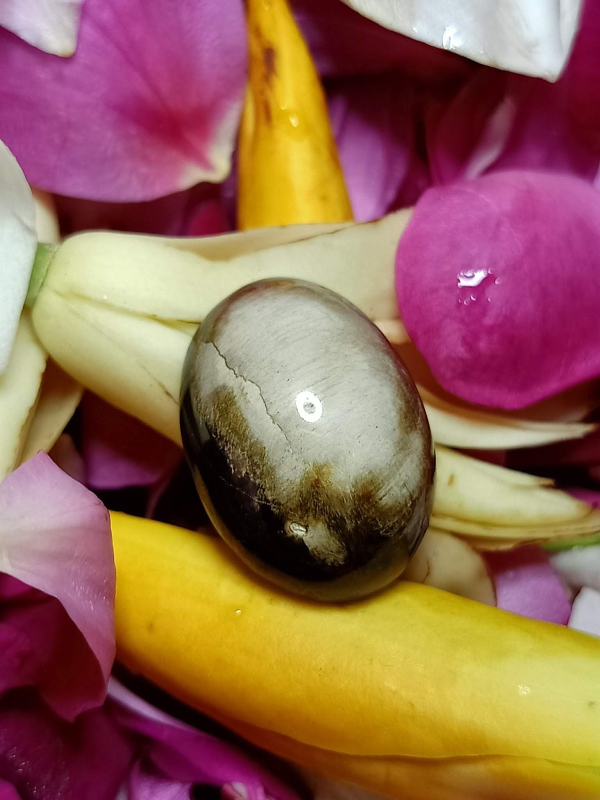 MUSTIKA JIN BUSUK KELAMIN ~ Jimat Azimat | Batu Mustika Geliga | Keris ...