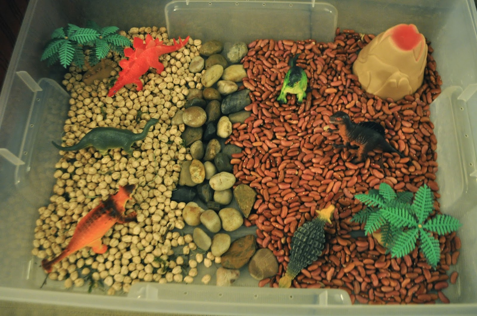 Minding Monkeys: Sensory Bins