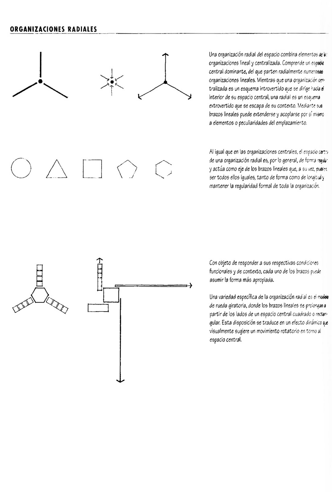 DISEÑO, DIBUJO Y COLOR: Organizaciones radiales