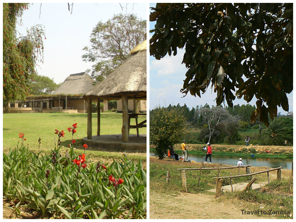 TravelZambia..,Lets Explore!!!: KALIMBA REPTILE PARK (KALIMBA CROCODILE ...