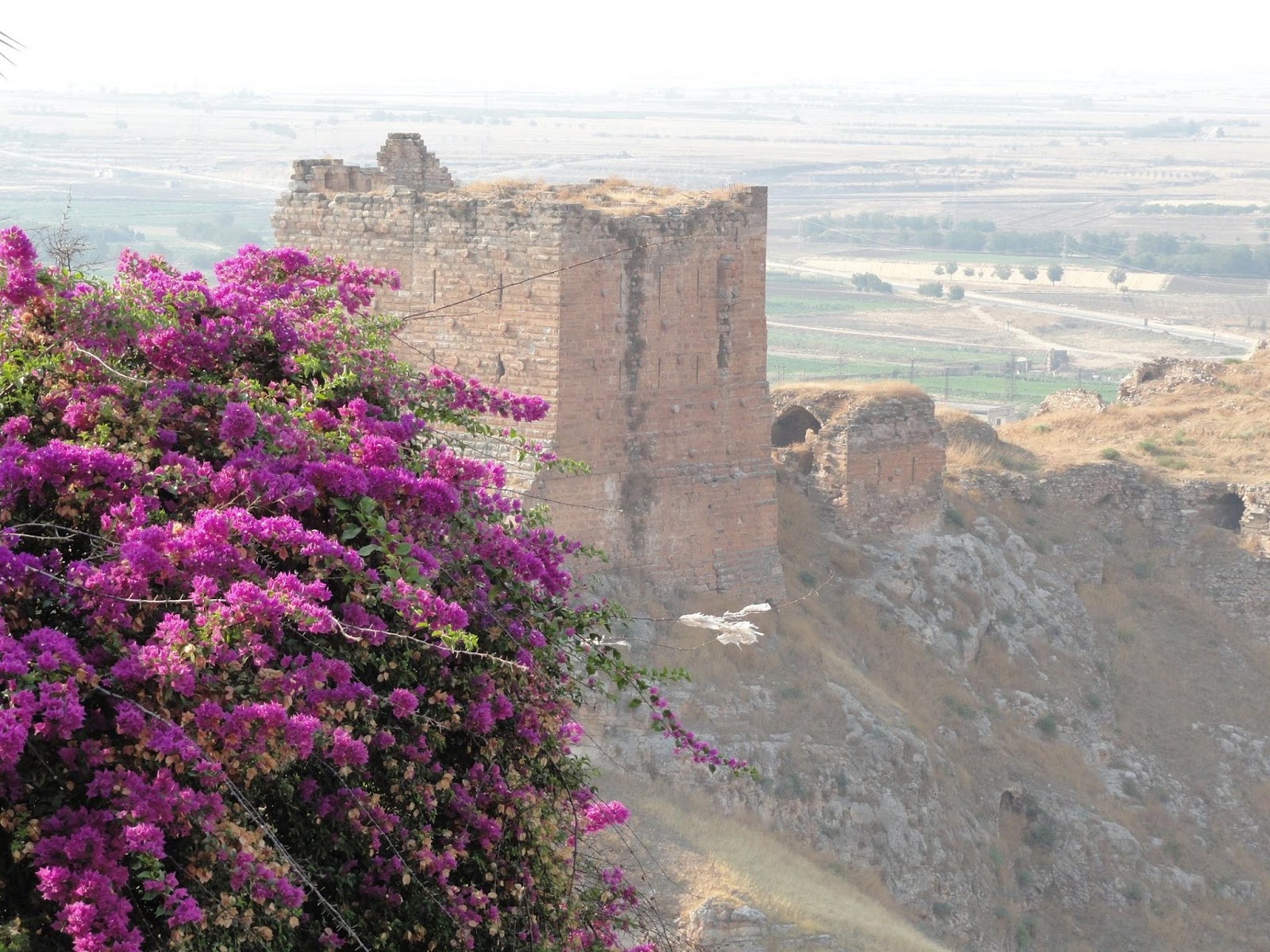 Via Recta - الشارع المستقيم: À Mhardeh [ محردة ], malgré la guerre, la ...
