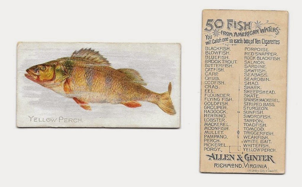 1889 Allen & Ginter: 50 Fish From American Waters
