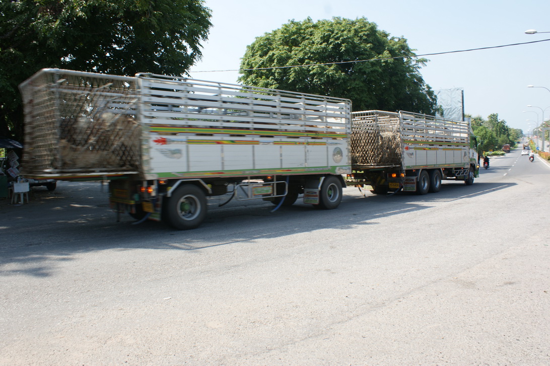 LAISI: A Trip Down Memory Lane - Day 2 and 3