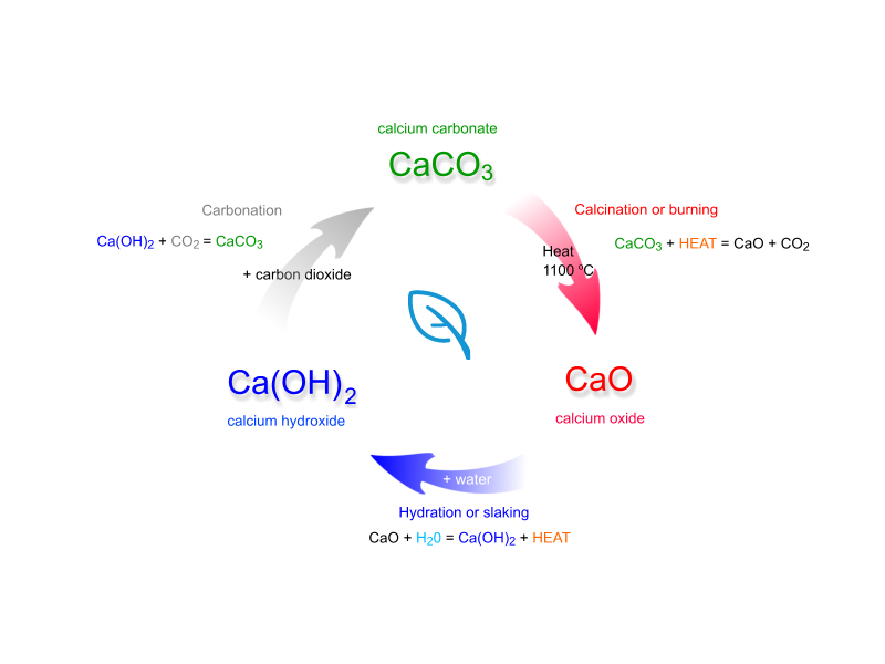 Woodstock Earth Blog