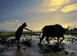 *Blog sa FILIPINO III* : Walang Panginoon