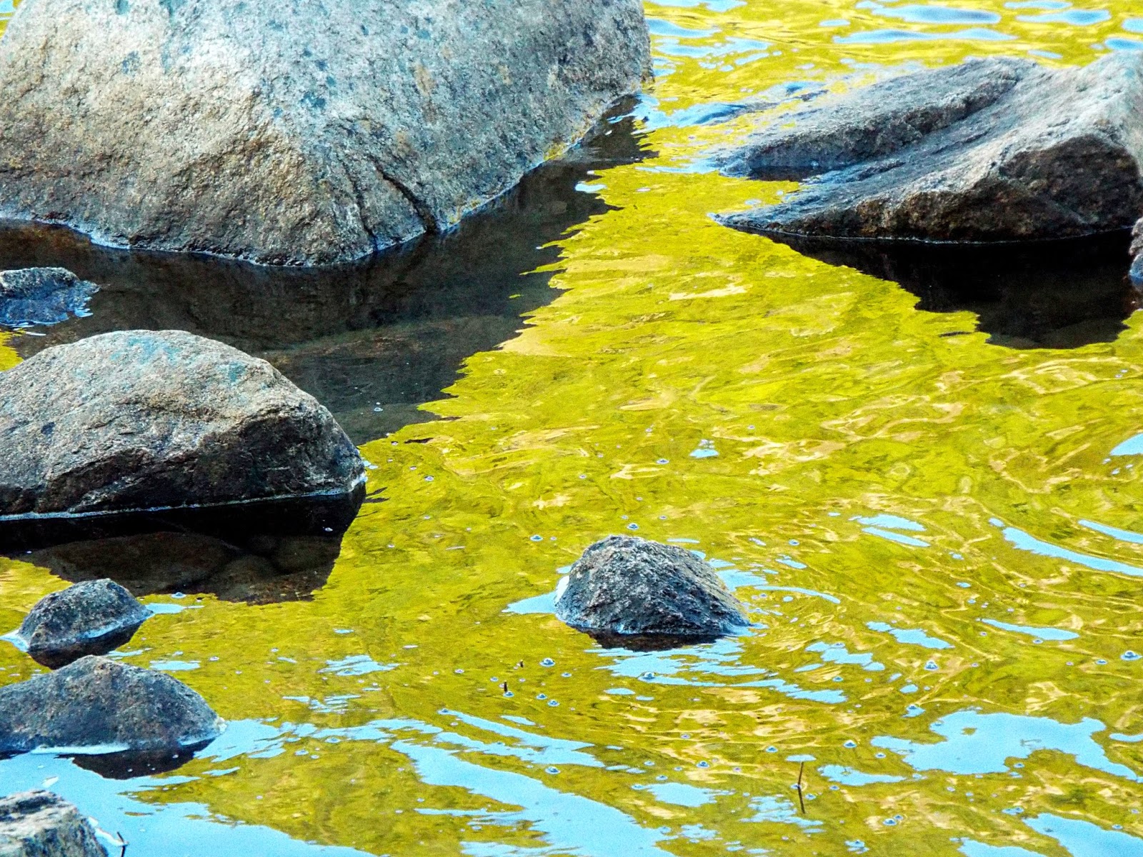 EXPLORING IN AND AROUND ACADIA NATIONAL PARK: THE WATERS OF BUBBLE POND