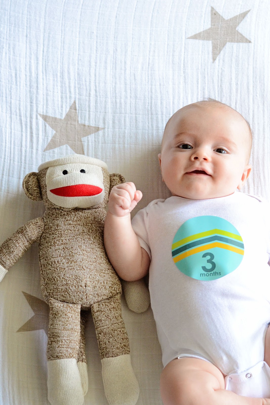 3 Months Old - Alison Winterroth Photography