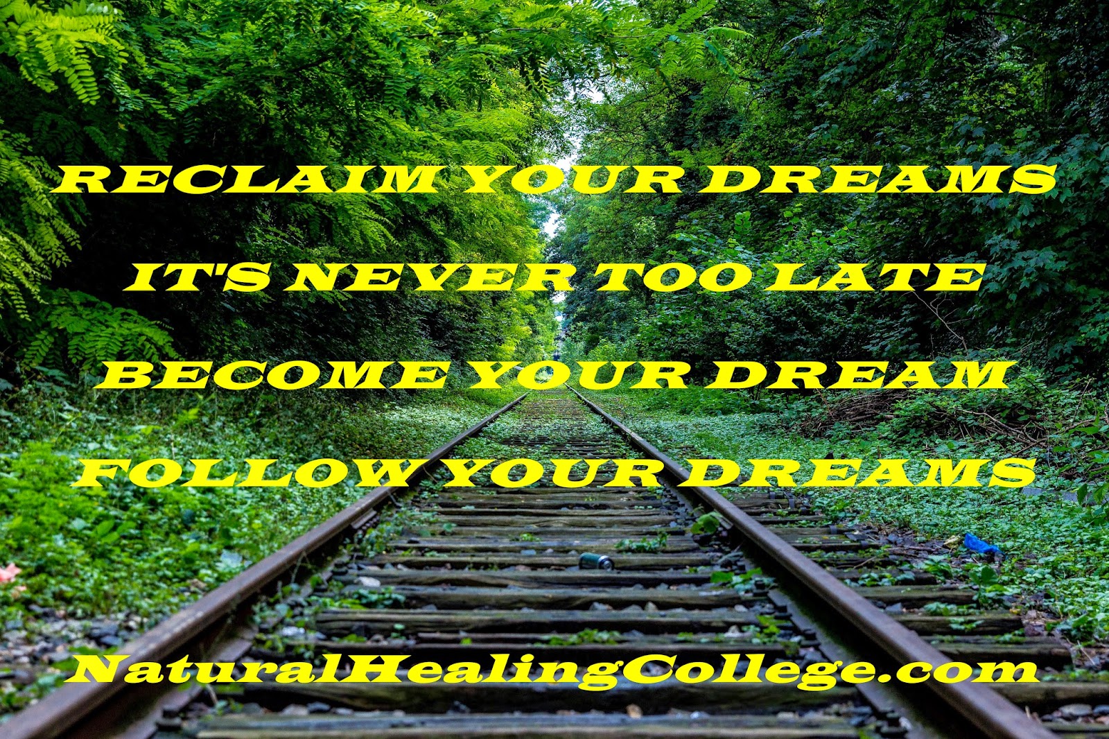 Natural Healing College