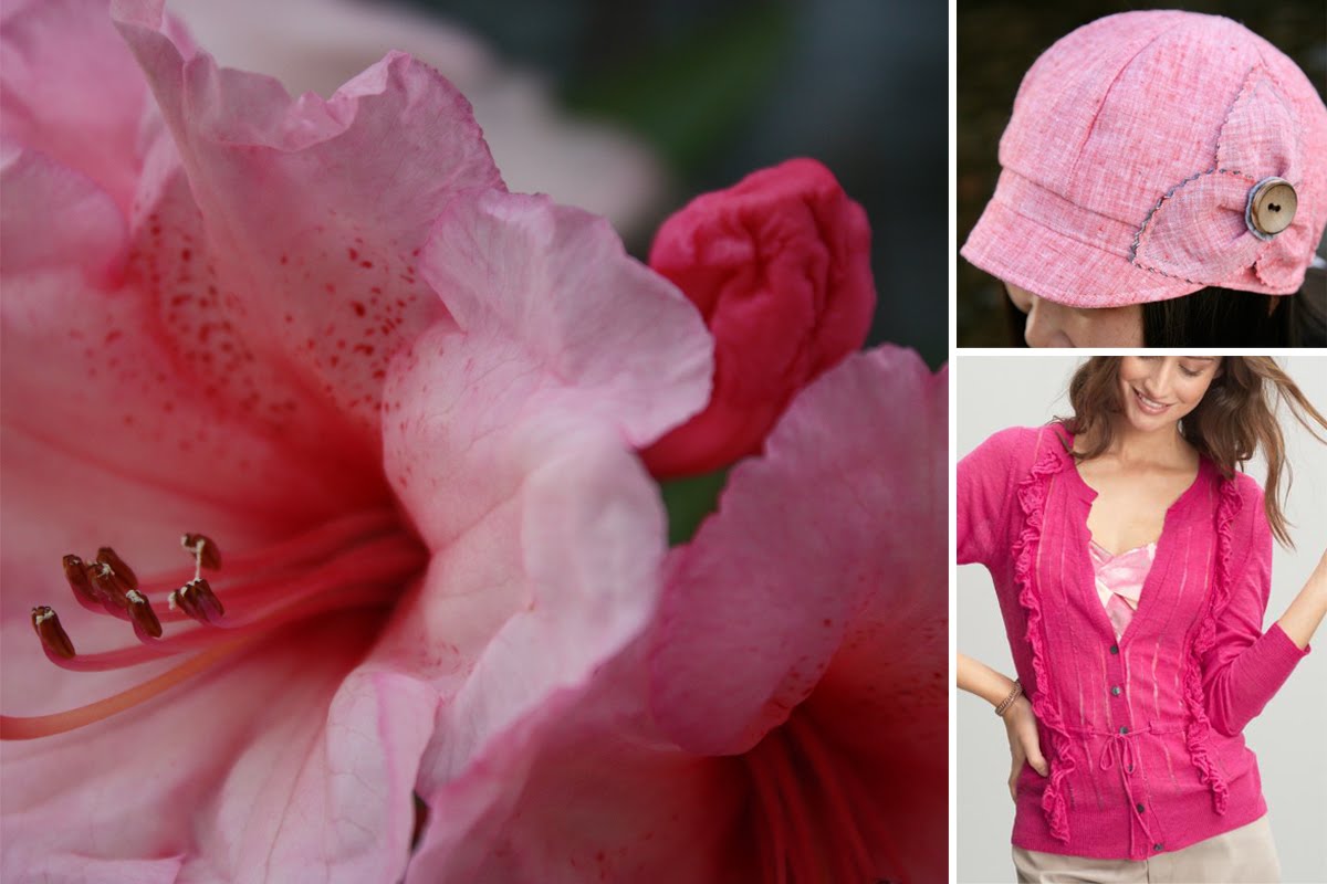 smidgebox: natural selection