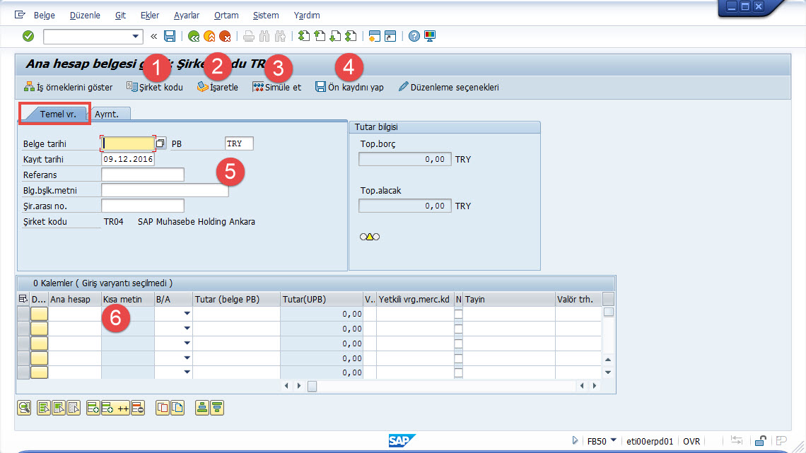 Ana Hesap Belgesi Girişi (FB50) | SAP Muhasebe