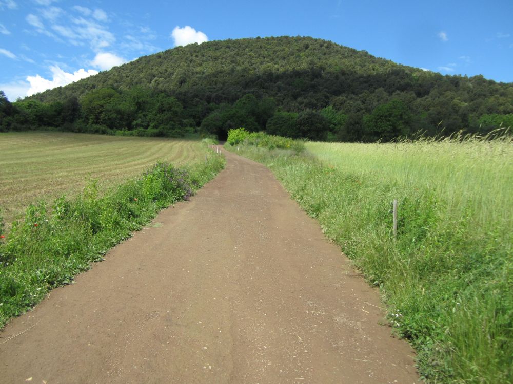 Volcanic Landscapes: Olot Volcanic Field: Croscat volcano