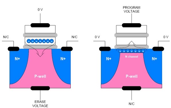 指間蝴蝶 Sign Language Waltz: 《SLC MLC TLC 傻傻也能分清