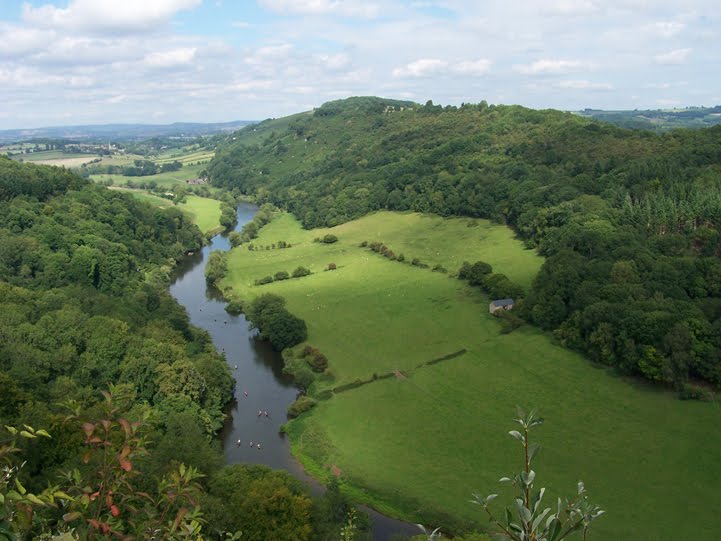 the green lady: RIP Sid Rawle August 2010
