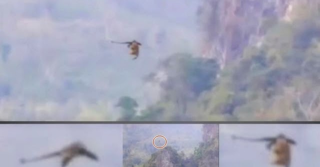Dragon Caught on Tape in China