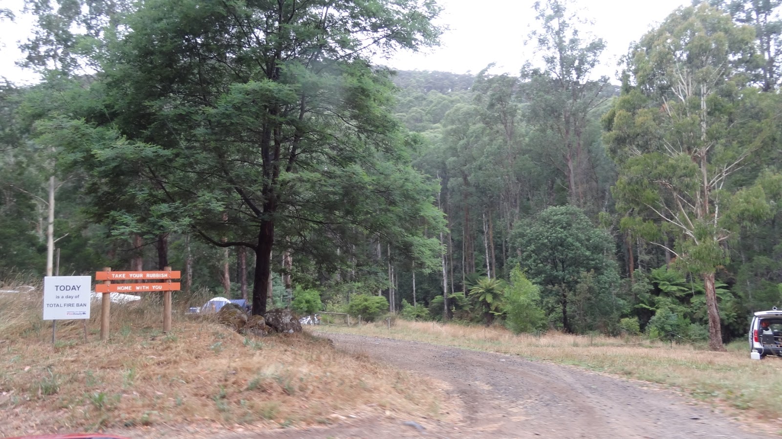 Back To Nature:: Toorongo Falls - Baw Baw NP - VIC