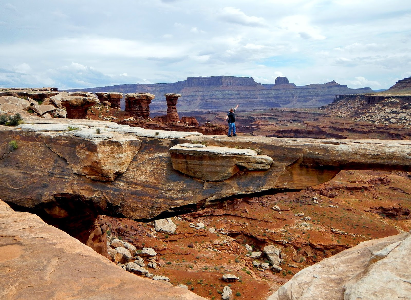 The Southwest Through Wide Brown Eyes: The White Rim Trail; only up to ...