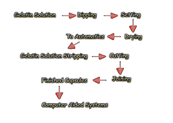 PLANT LAYOUT FOR CAPSULE MANUFACTURING DEPARTMENT & MANUFACTURING PROCESS