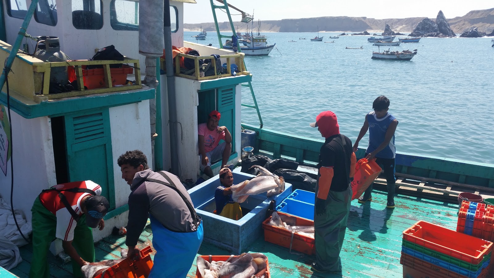 Perú: Mediante Cooperativas Pesqueras se iniciá la formalización de la ...
