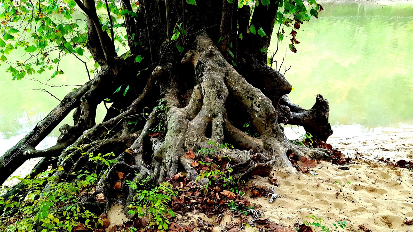 Visiting Fort Boonesborough Part 2