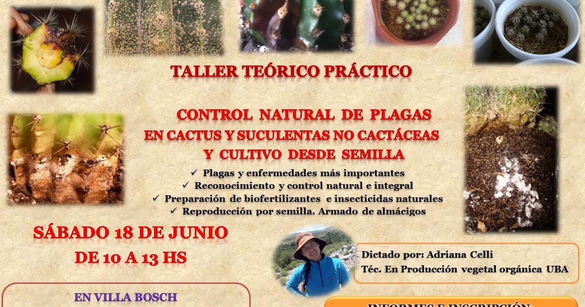 TALLER TEÓRICO PRÁCTICO: CONTROL ORGÁNICO DE PLAGAS EN CACTUS Y ...