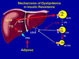COCHIN CARDIAC CLUB: LIPAGLYN (SAROGLITIZAR)