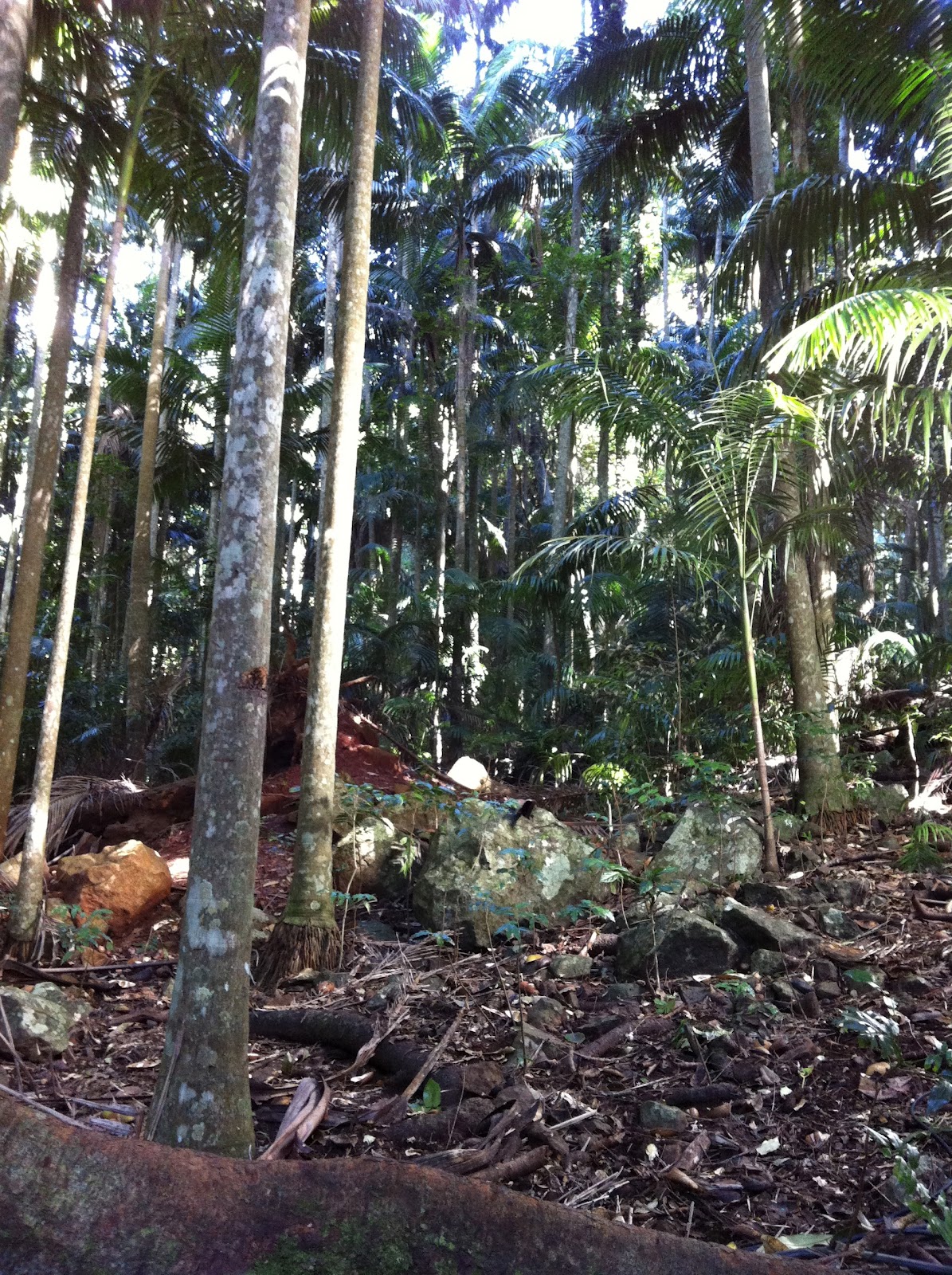 author journal: On set of Nim's Island 2: Mud, leeches and the most ...