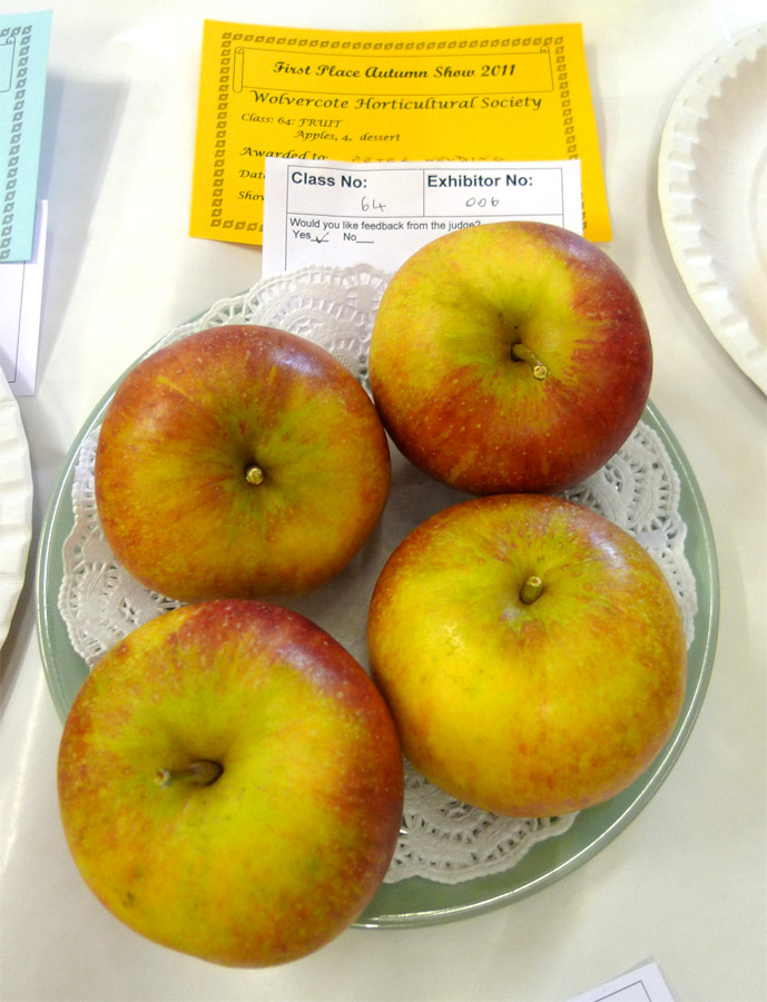 oxfordpomona: Village Show - fruit categories