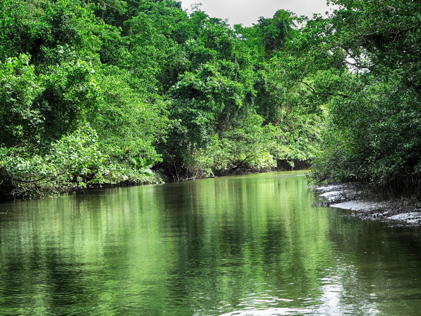 Bill's Ponderings: HDR Photos From our Trip to Far North Queensland
