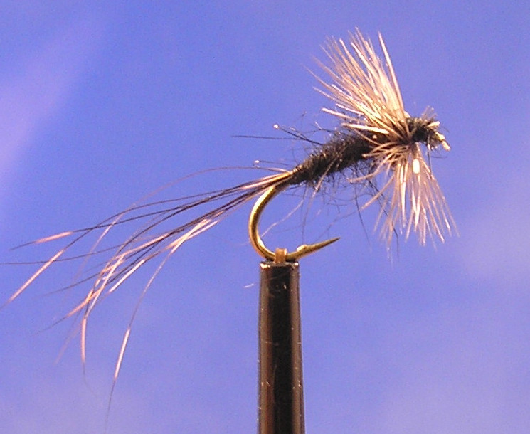Fly Tyer Man: The Adams