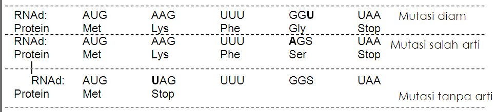 MUTASI | BIOLOGI SMA
