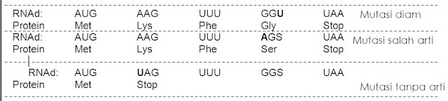 MUTASI | BIOLOGI SMA
