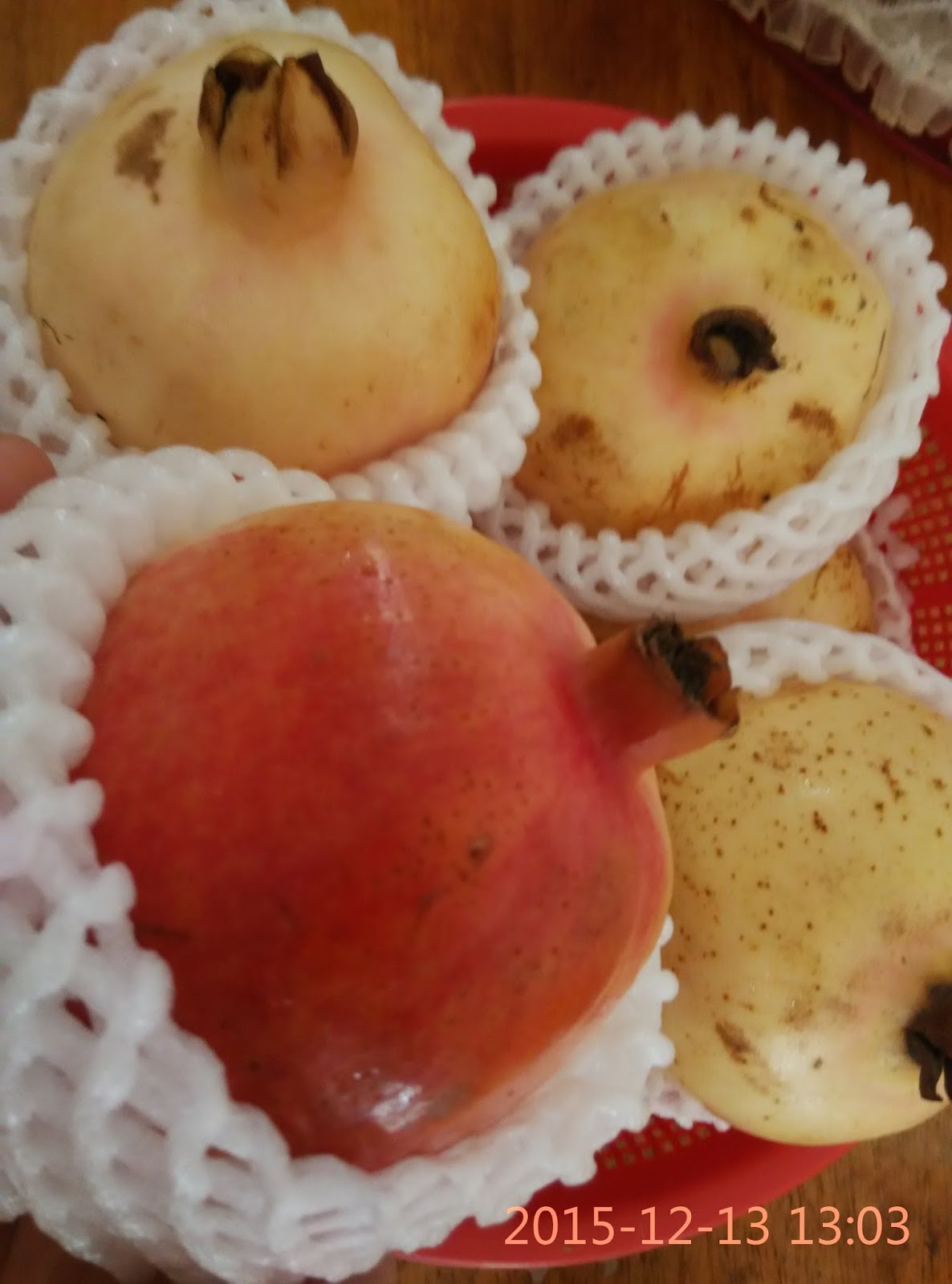 Merah - Merah Delima ~ SURIA AMANDA