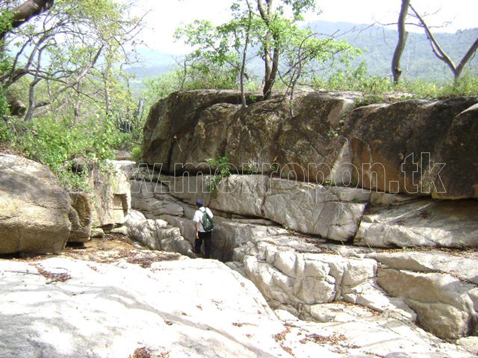 EL PITAYO ~ MORROPON ECOTURISMO