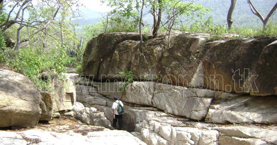 EL PITAYO ~ MORROPON ECOTURISMO