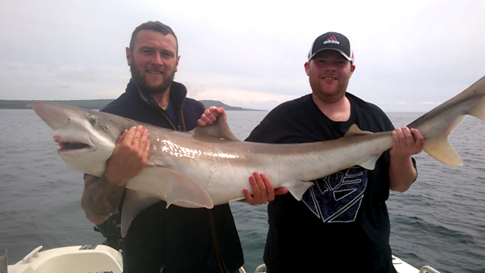 Fishingmegastore Fish of the Month Entry May 2017 - Luce Bay Tope!