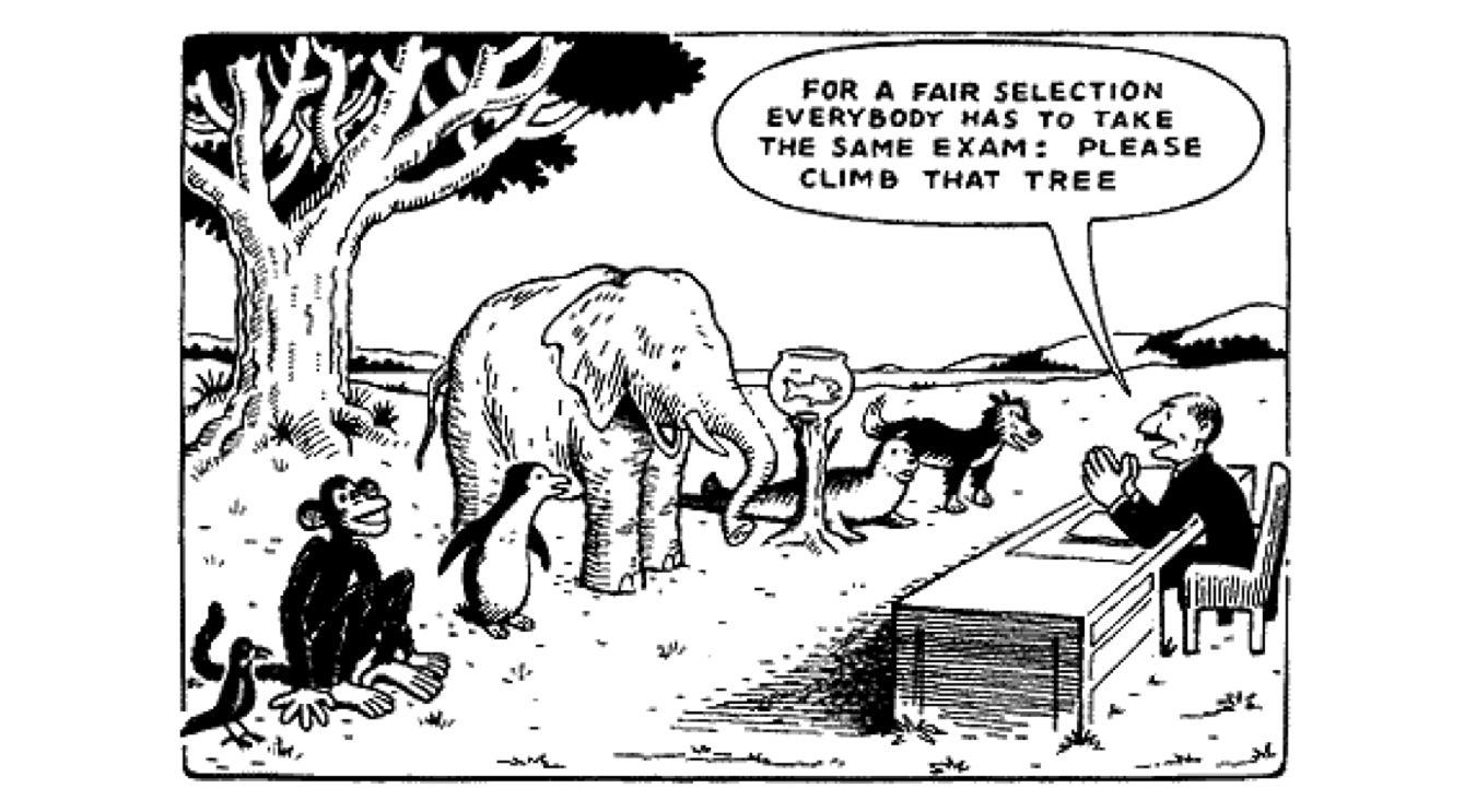 Wat is differentiëren nu precies? Een praktische overzicht vanuit mijn ...