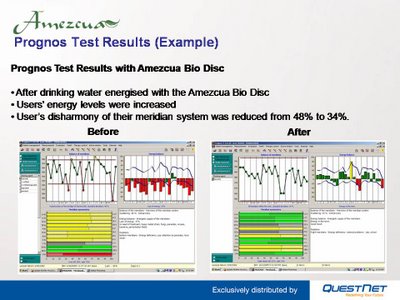Bio disc Theories and practice based on seminar by Prof Dr Ian Lyons ...
