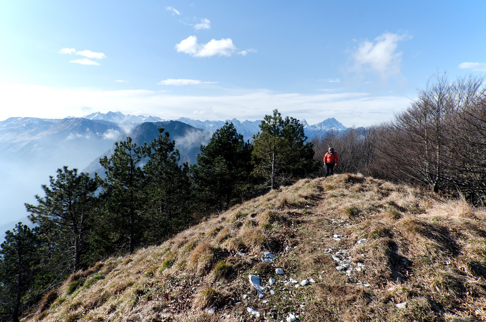 Montagne Sottosopra : MONTE JOUF: da Maniago per Forcella Crous