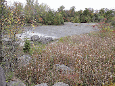 Chazy Reef - Part II ~ Hudson Valley Geologist