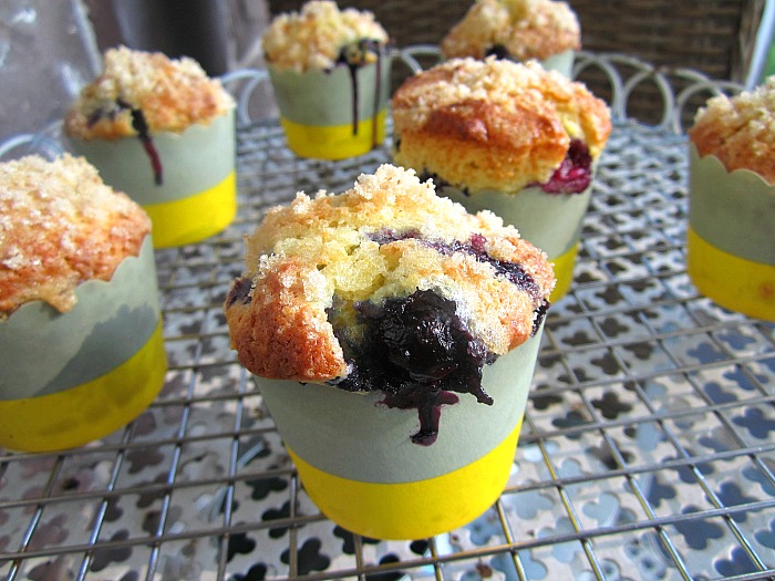 Blueberry Lemon Ricotta Muffins w/ Lemon Sugar Topping